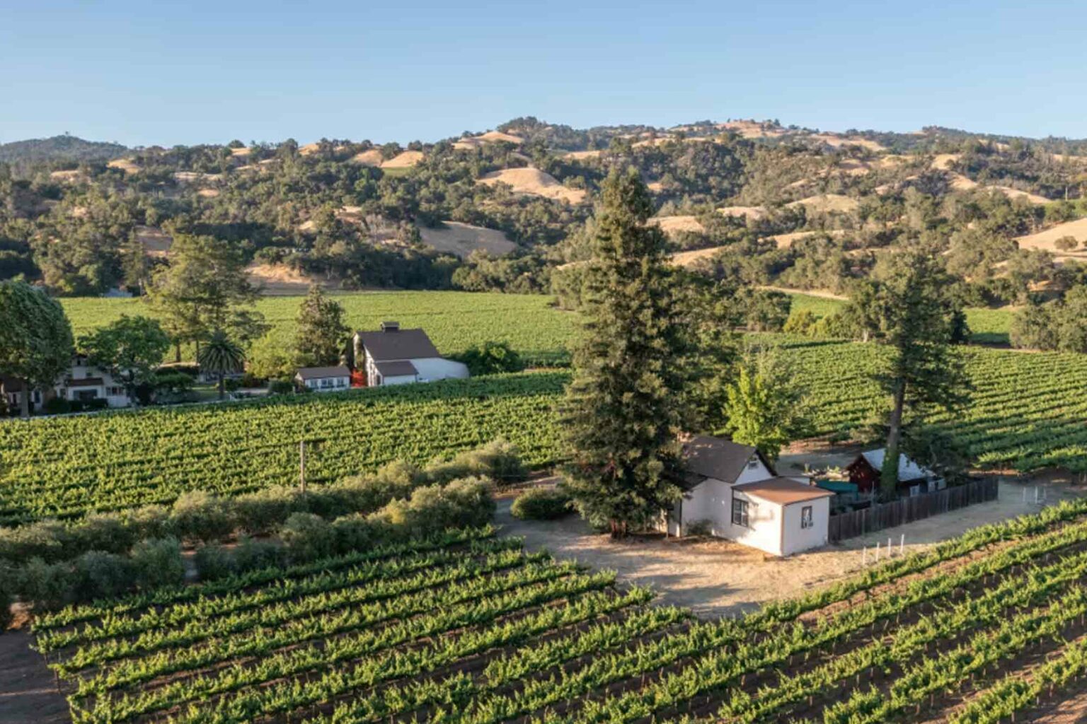 Caesars Owner The Carano Family’s $8M California Vineyard Up For Sale ...